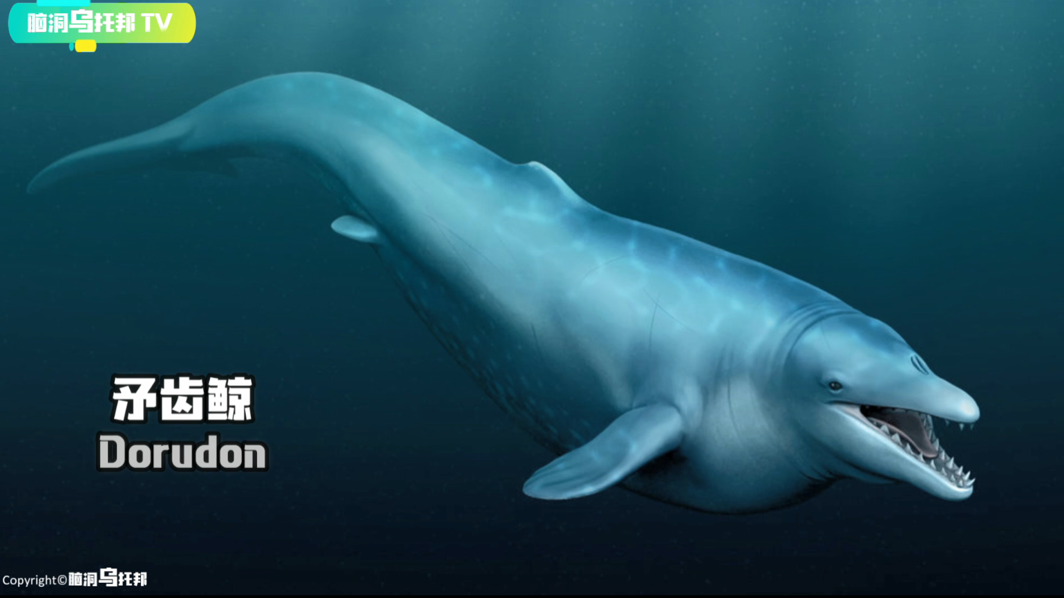 It hides the secret of human origin! The ocean overlord whale that ...
