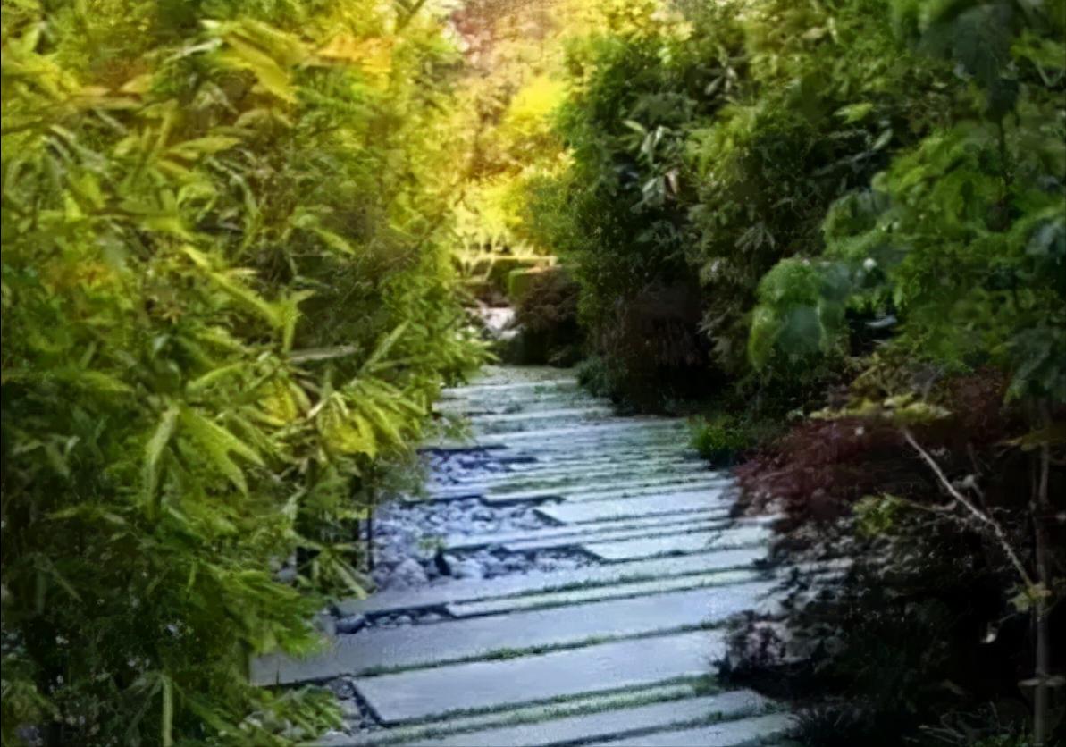 Beautiful garden path - iNEWS