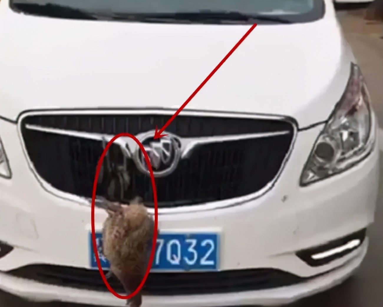 There are exceptions for obscuring license plates. There is no penalty ...