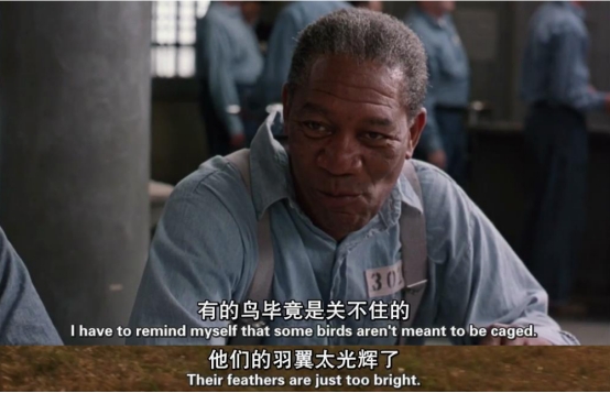 "Shawshank's Redemption": Always have hope, plan for 20 years for ...