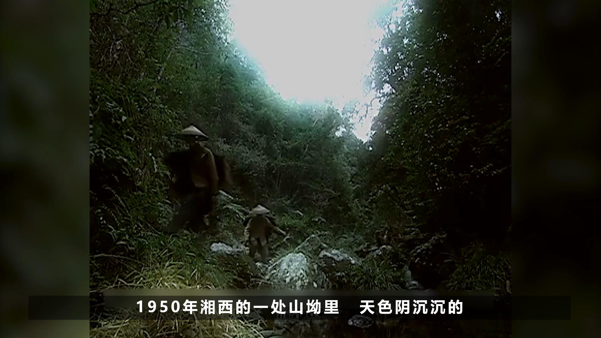 The documentary "The Truth about Challenging the Corpse": Isn't it ugly ...