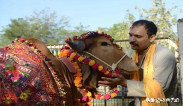 Indian man abandons his wife and abandons his son, spends 170,000 yuan ...