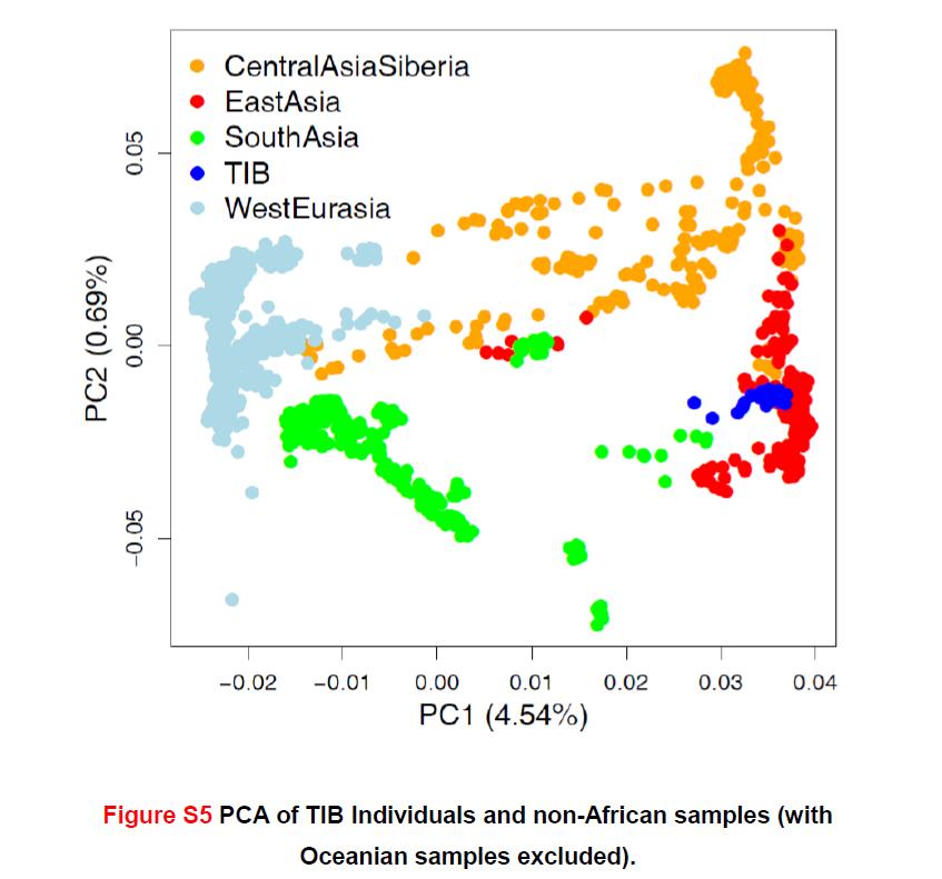 DNA reveals the origin of the ancestral and adaptive genes of the ...
