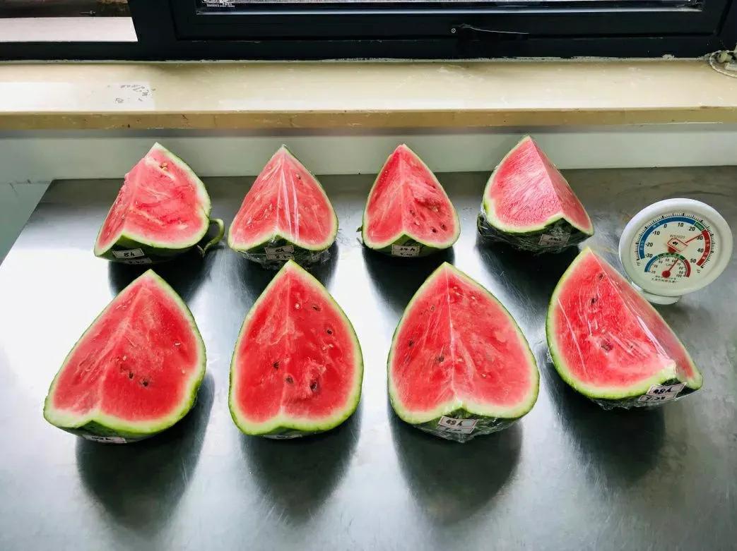 Eating an overnight melon is in danger of dying. Overnight watermelon ...
