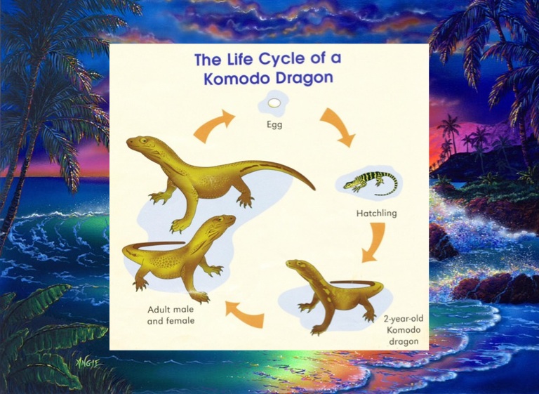 What is the real strength of the largest lizard in existence, the ...