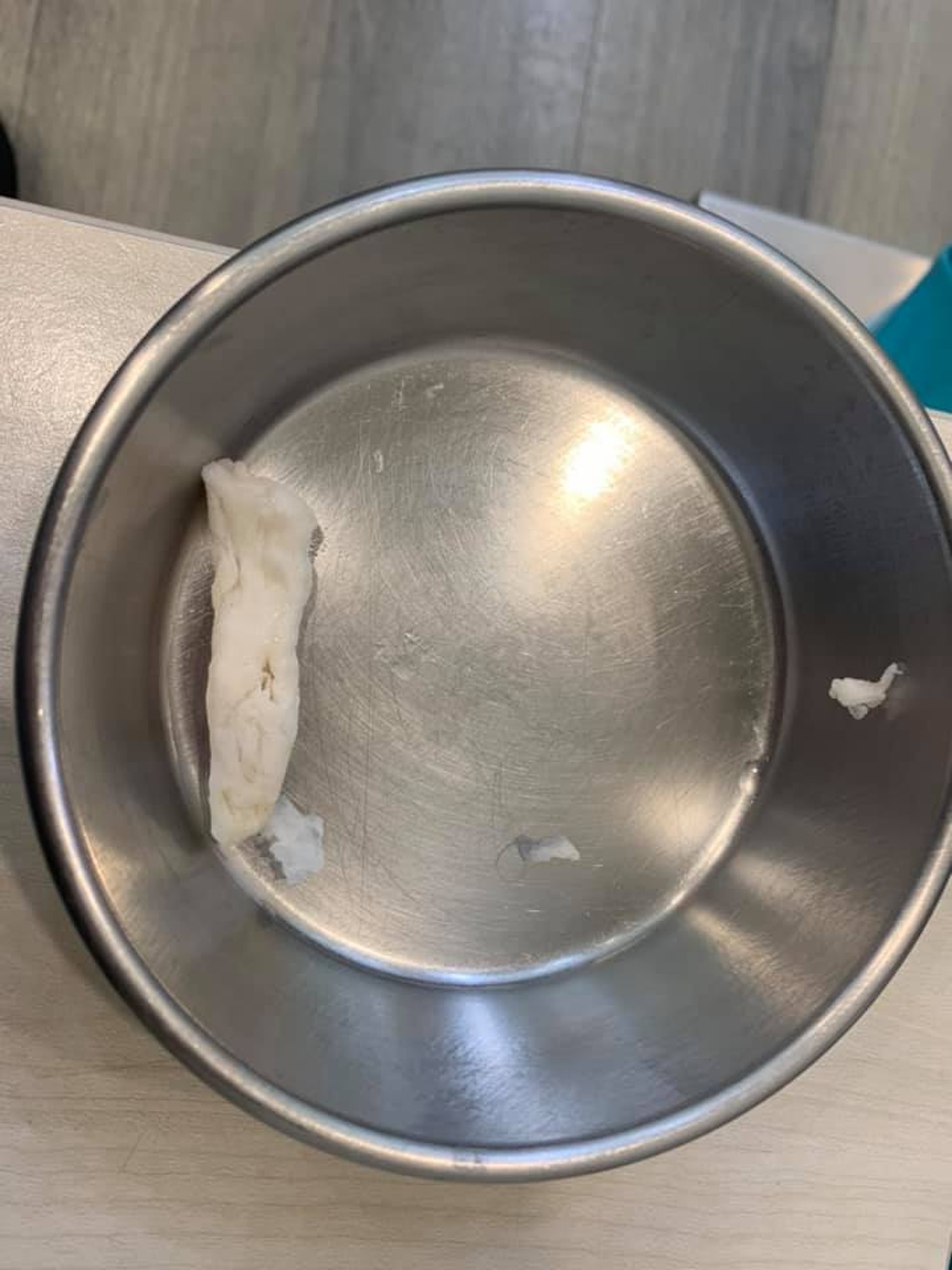 The orange cat retched white bubbles after eating the "paper napkins ...