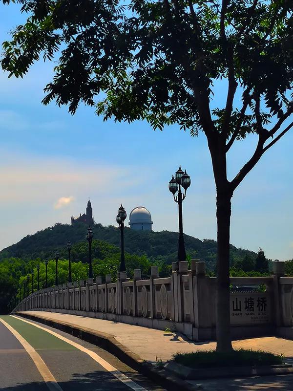 Jinmen.com Chen Yingguo: Shanghai's bridge - iNEWS
