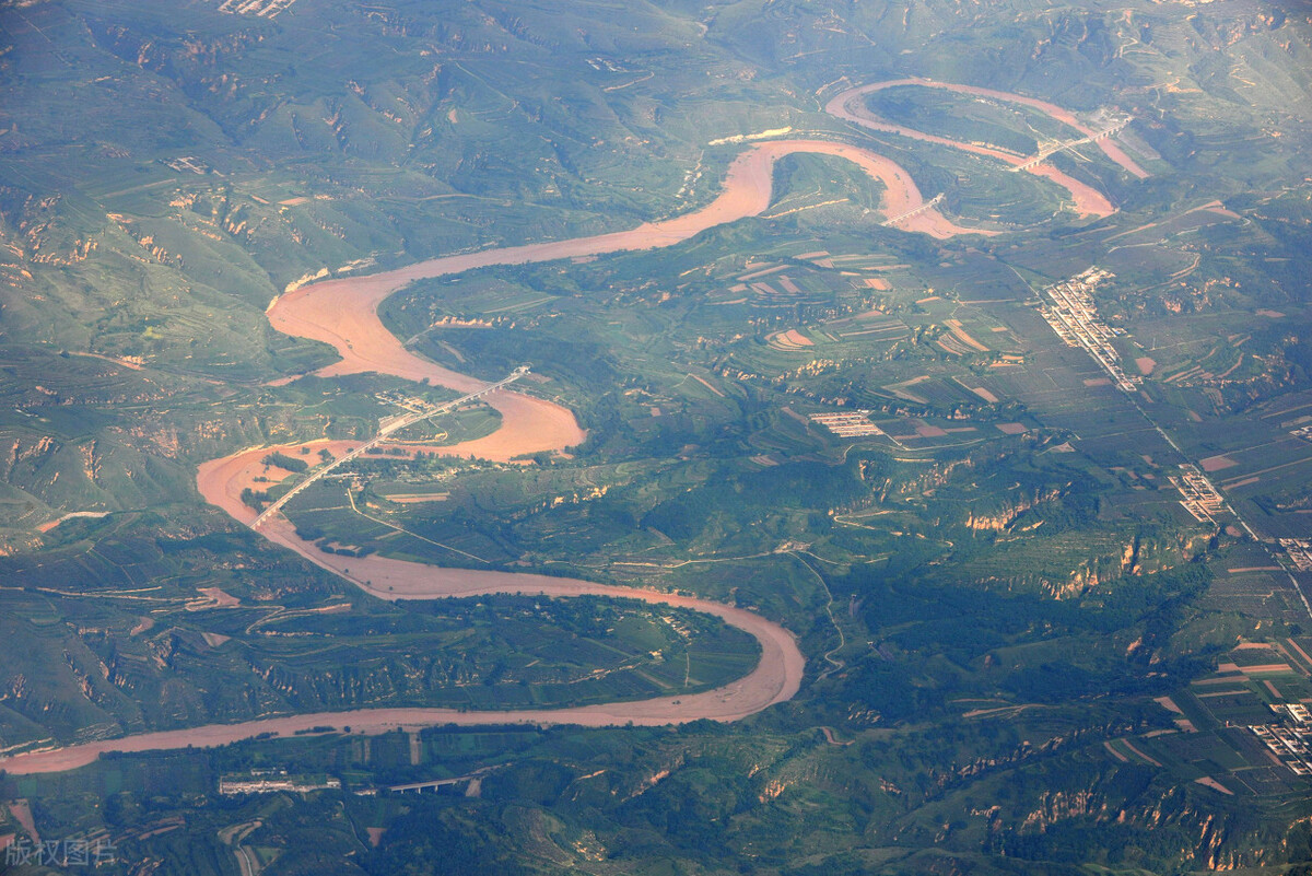 German mirror carp invaded the Yellow River and hybridized with ...