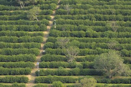 Shared farm-a good place for rural life - iNEWS