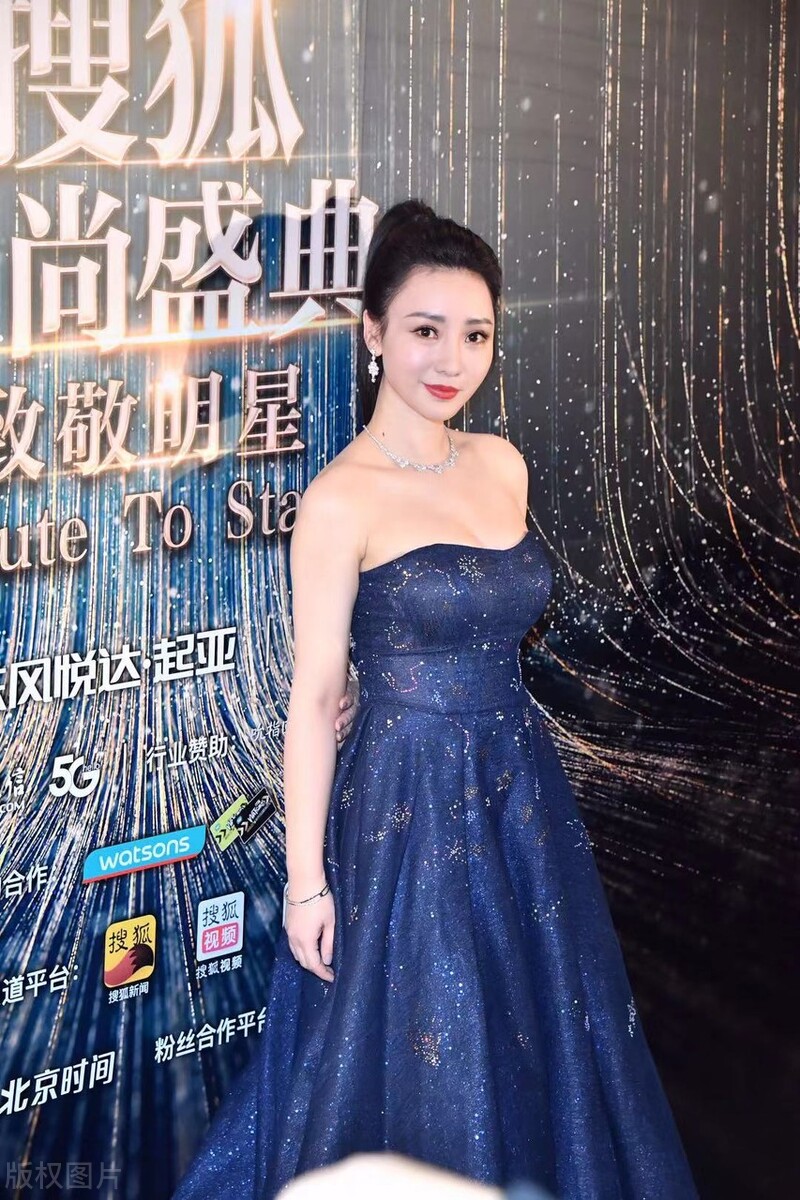 Liu Yan: The embroidered navy blue embroidered dress with chest wrapped ...