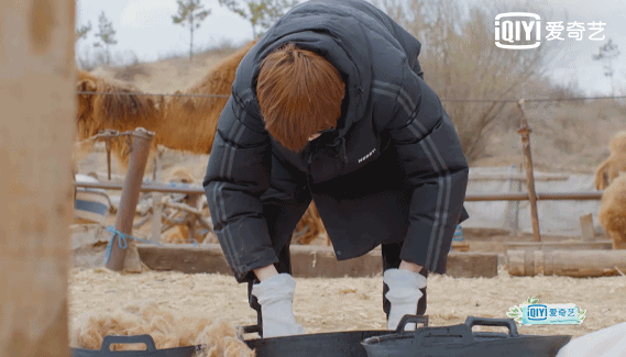 Hu Chunyang wants to mortgage the camera?This move depends on everyone ...