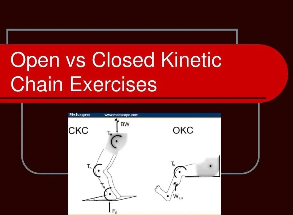 What is the difference between open chain movement and closed chain ...