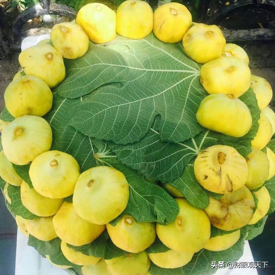 Xinjiang fruits not to be missed (4) - iNEWS