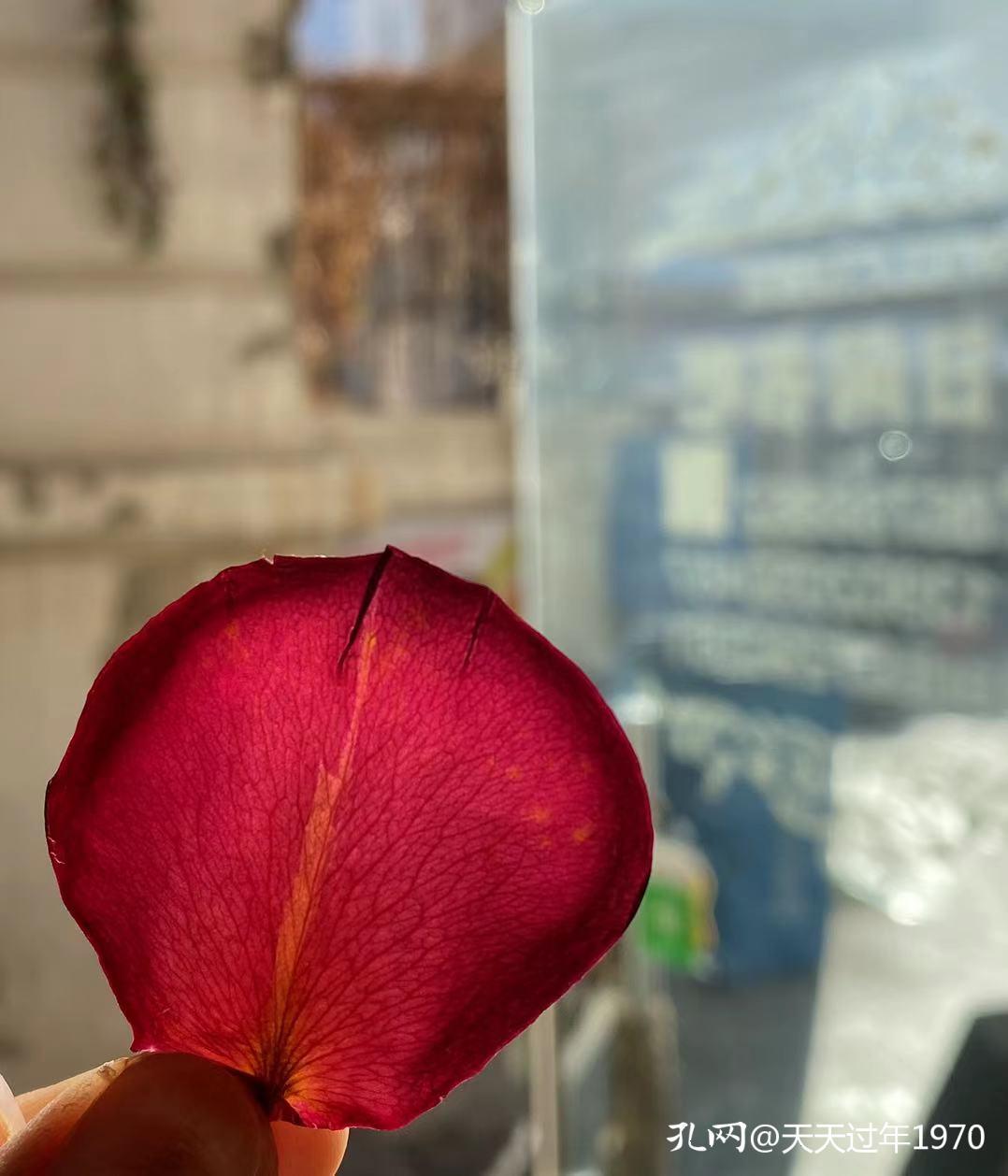 I found "Shu Ting's Poems" by chance, with a note full of affection in ...