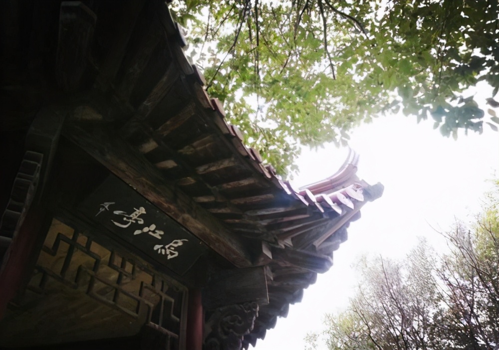 Why can't Xiang Yu die in Wujiang River? Can Xiang Yu really make a ...