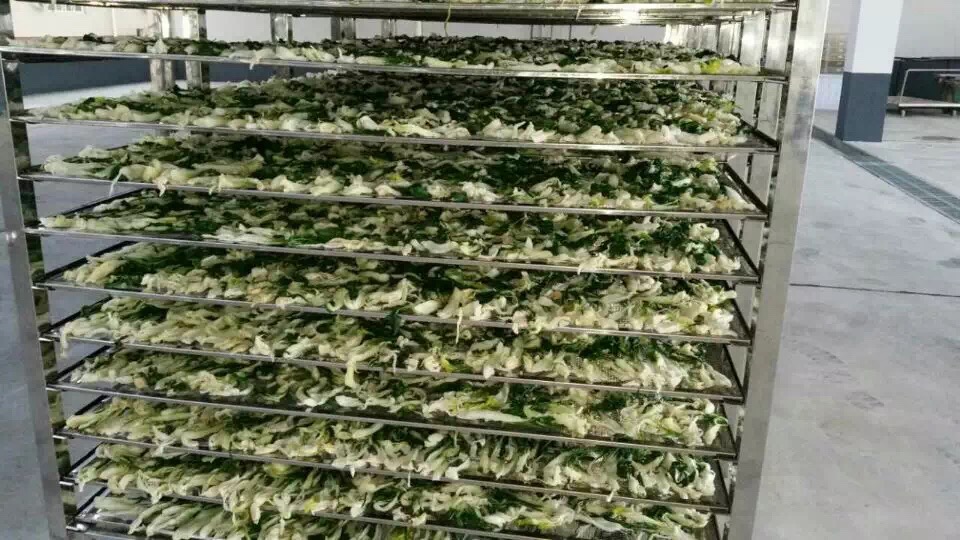 Detailed explanation of mustard drying process - iNEWS