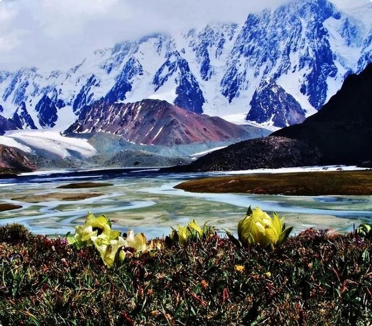 The "goddess" on the snow mountain, the status quo of development and ...