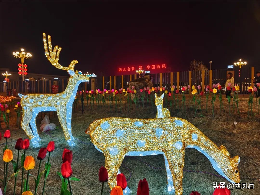 Xifeng wine city is full of tourists like weaving spring at night - iNEWS