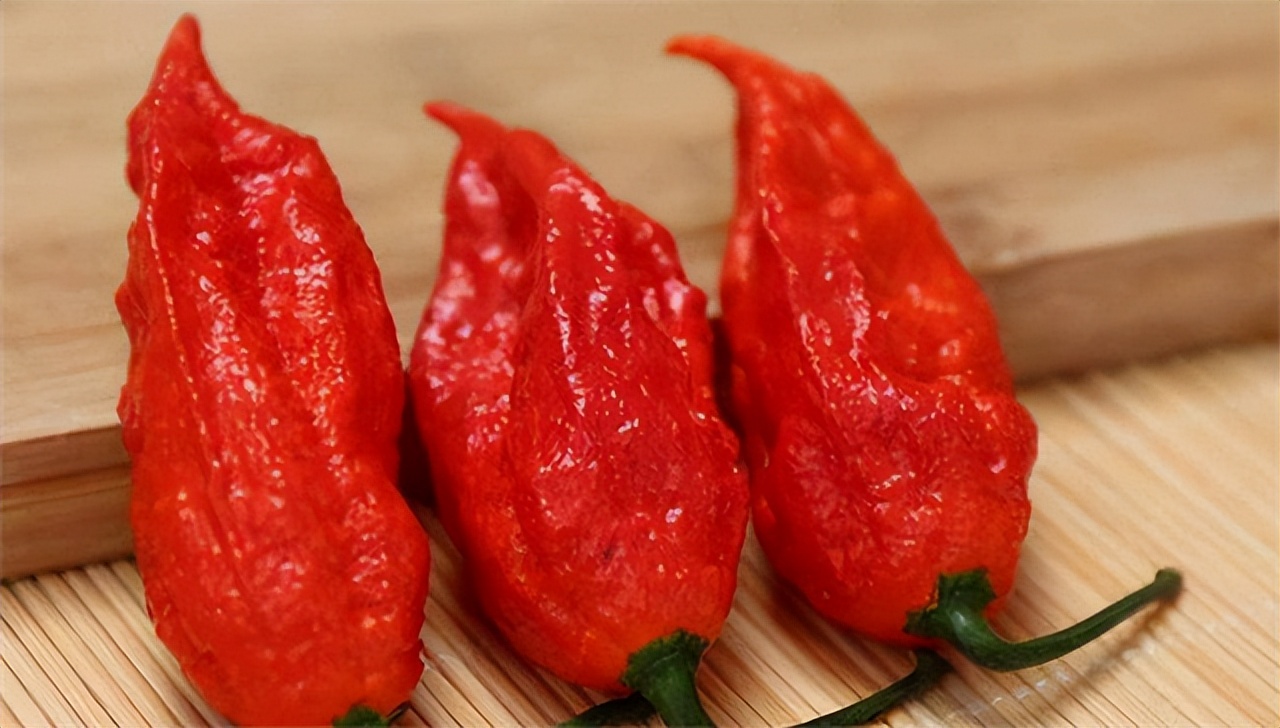 How scary is the world's hottest chili?Indian devil peppers are all ...
