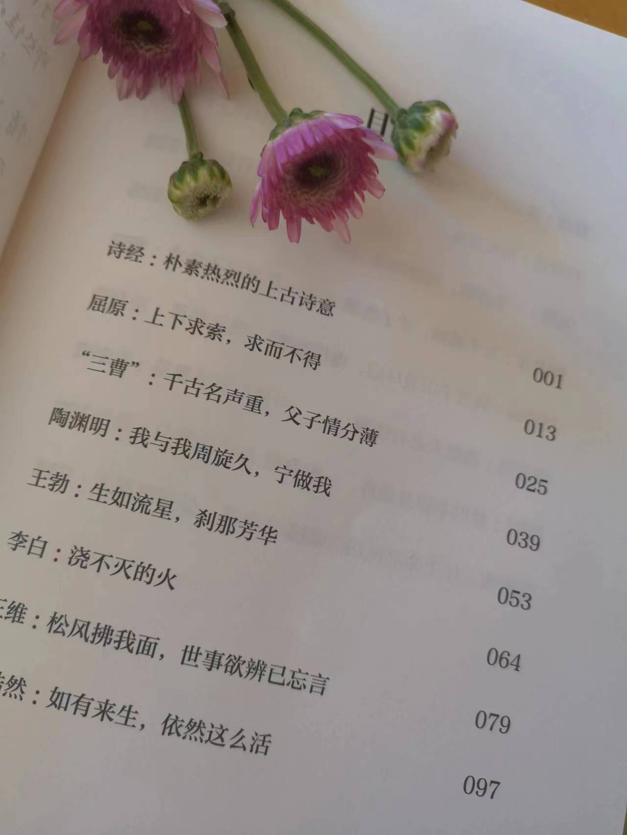 "What's so good about a good poem": the luck of the poet behind the ...