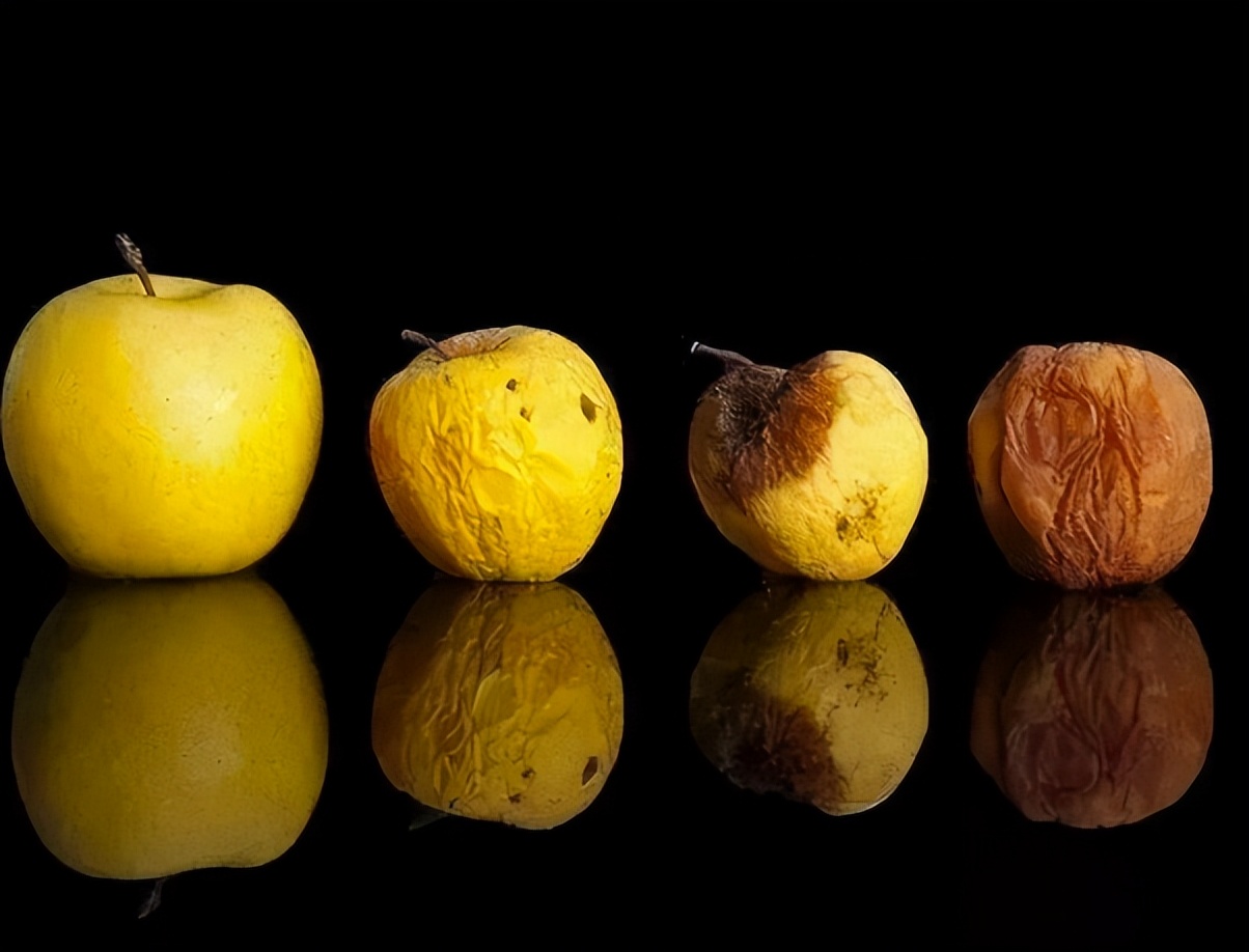 Brain hole: If you die in space, will your body rot? - iNEWS