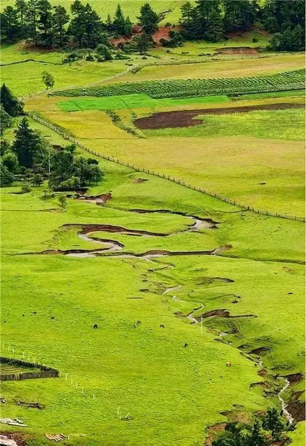 Shandan: A Bright Pearl on the Silk Road - iNEWS