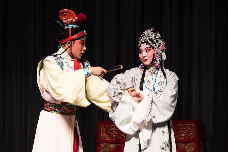 Dance and Rhythmic Beauty of Henan Opera - iNEWS
