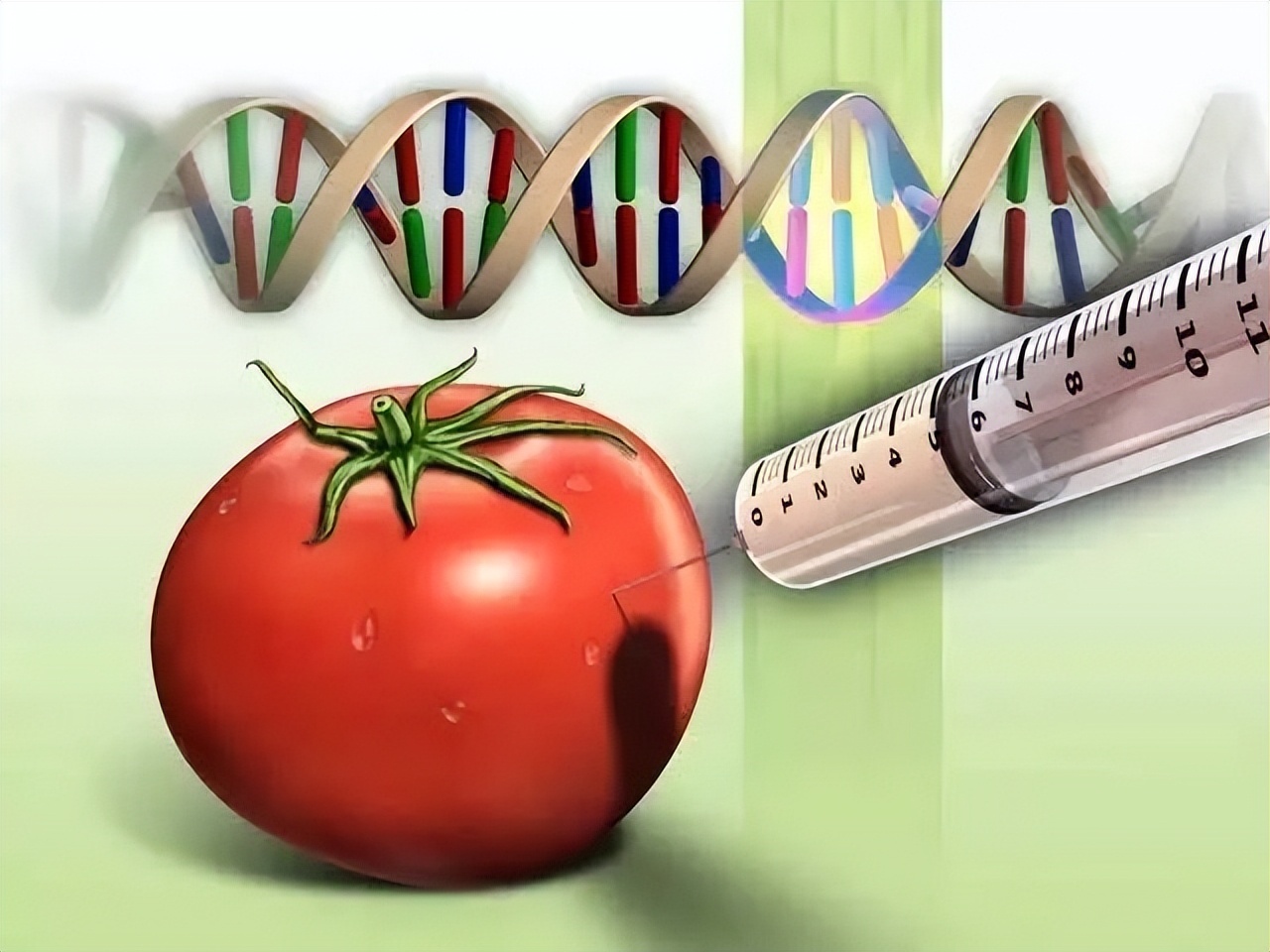 What happened to our biological system?What do you think about "GMO and ...