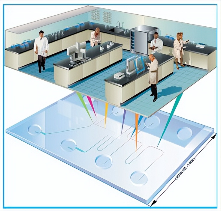 Microfluidic Lab-on-a-Chip - iNEWS