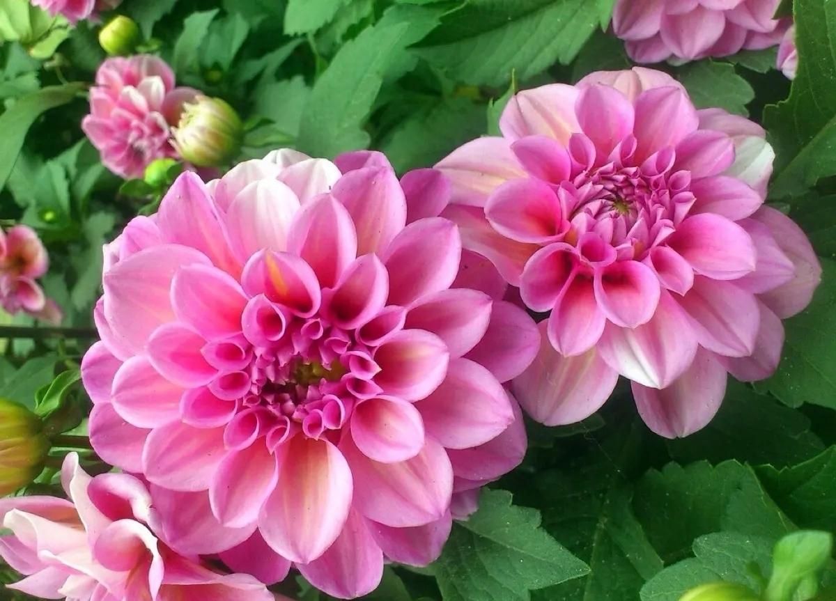 May: Hang in there, everything will be fine! - iMedia