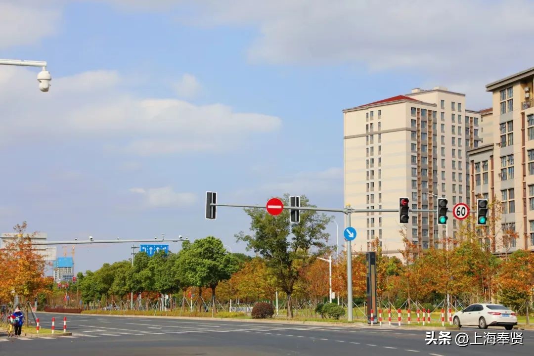 The beginning of winter is coming, and the autumn is strong~ With the ...