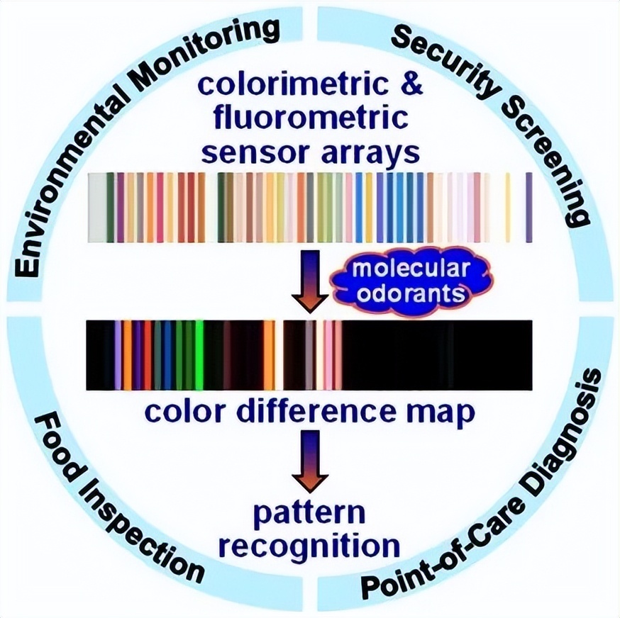 Nanoenzyme Sensor Arrays - iNEWS