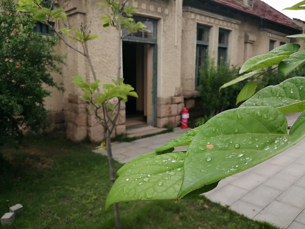 Weifang, a city-a small town - iNEWS