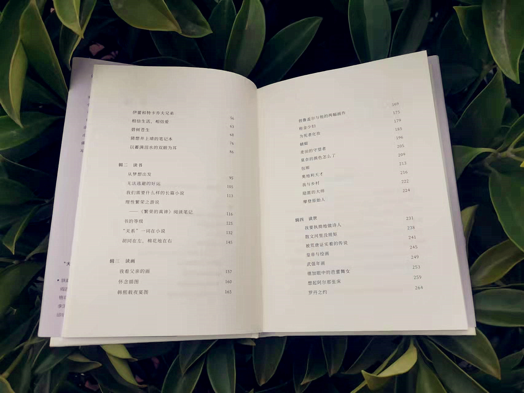 Tie Ning: Literature is a lamp, and it will always have an invincible ...