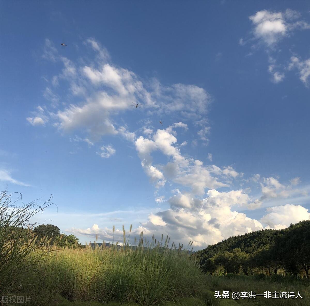 Poetry: My Hometown (Poems) (Published in the 2023 Summer Issue of ...