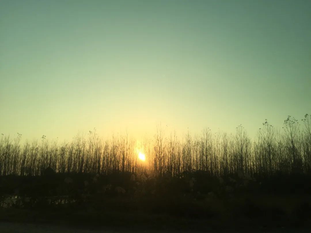 Why do you need to ask more about floating life, only this floating ...