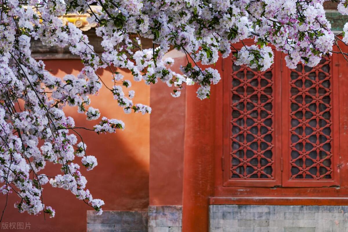 Jiegu: the king of musical instruments in the Tang Dynasty, the ...