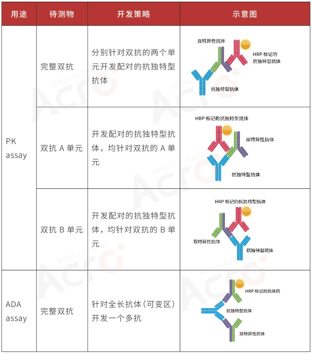 ACRO's anti-idiotype antibody development strategy to seize the ...