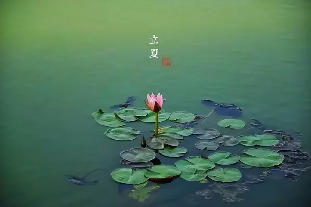 The beauty of Lixia - iNEWS