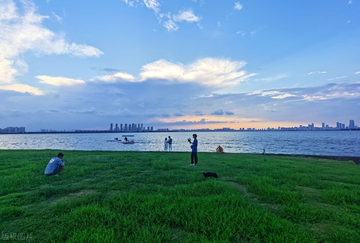 The lotus blooms in the water and the reeds swing with the wind: the ...