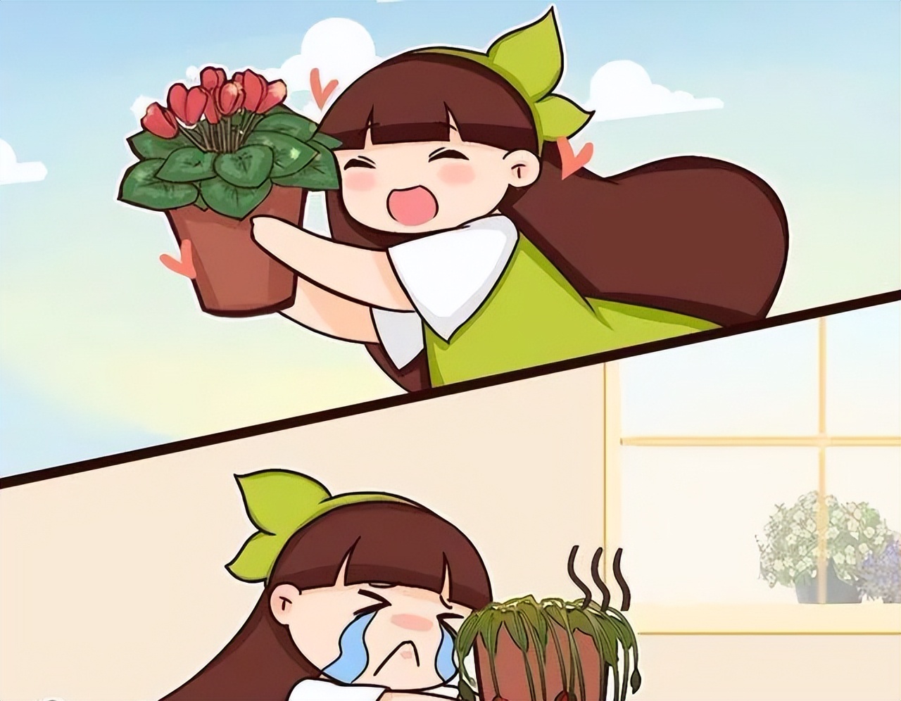 [Flower Knowledge Camp] 5 kinds of flowers that are the most difficult ...
