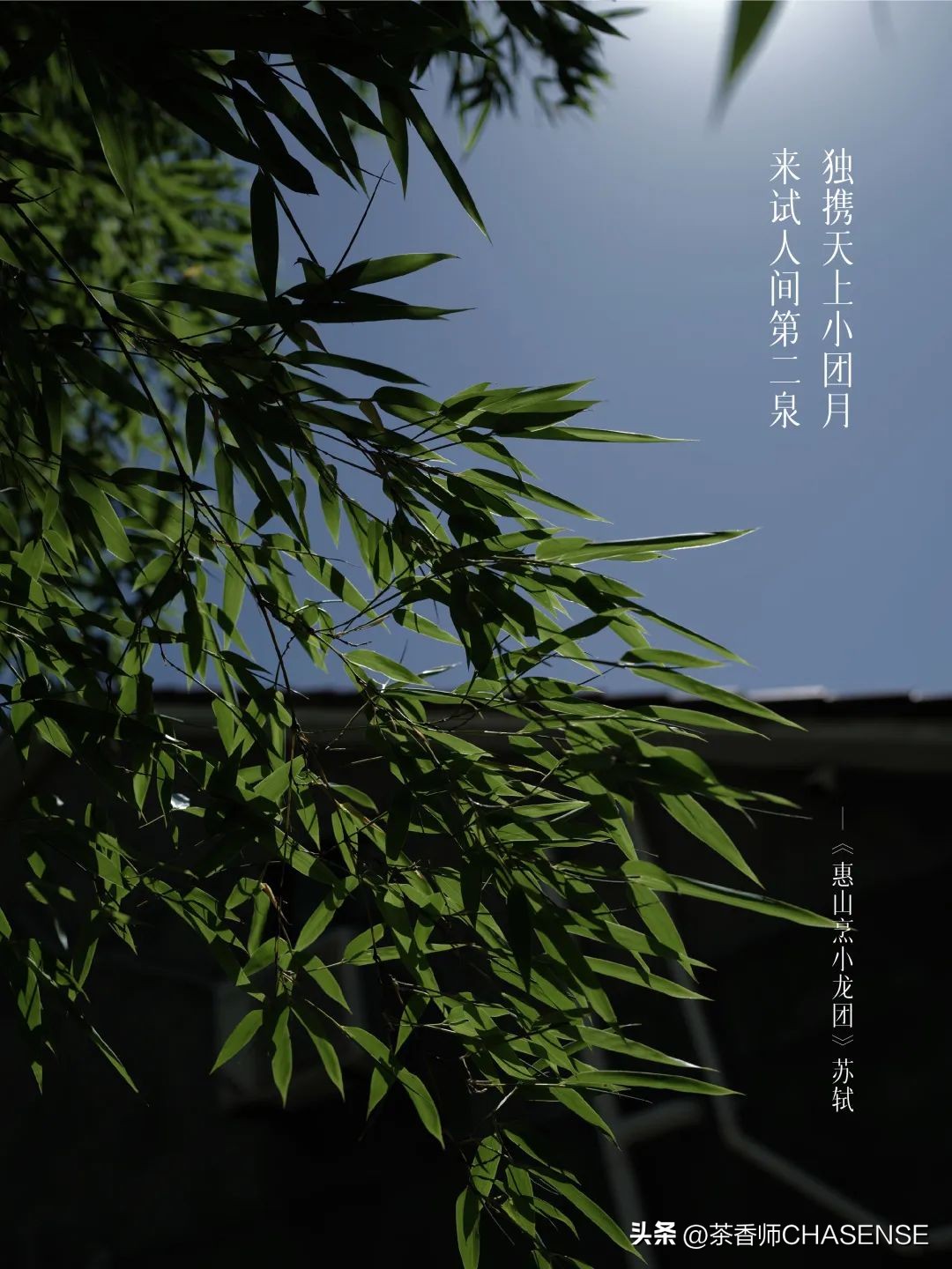 Tea Fragrance "Poems" - iNEWS