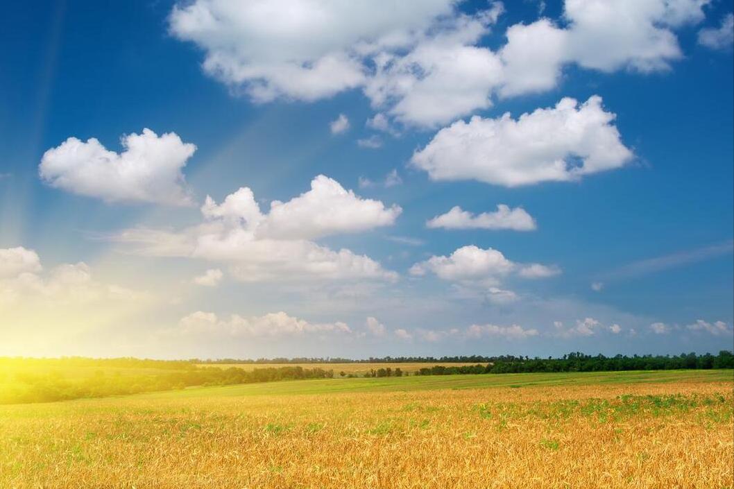 "June and autumn drive dead cattle, July autumn is leisurely", this ...