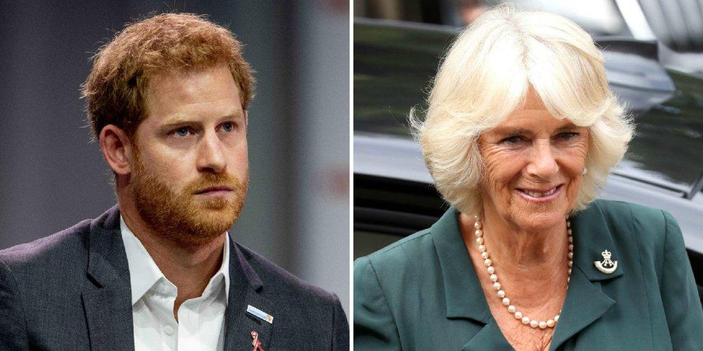 How is Prince Harry and Queen Camilla's relationship? - iMedia
