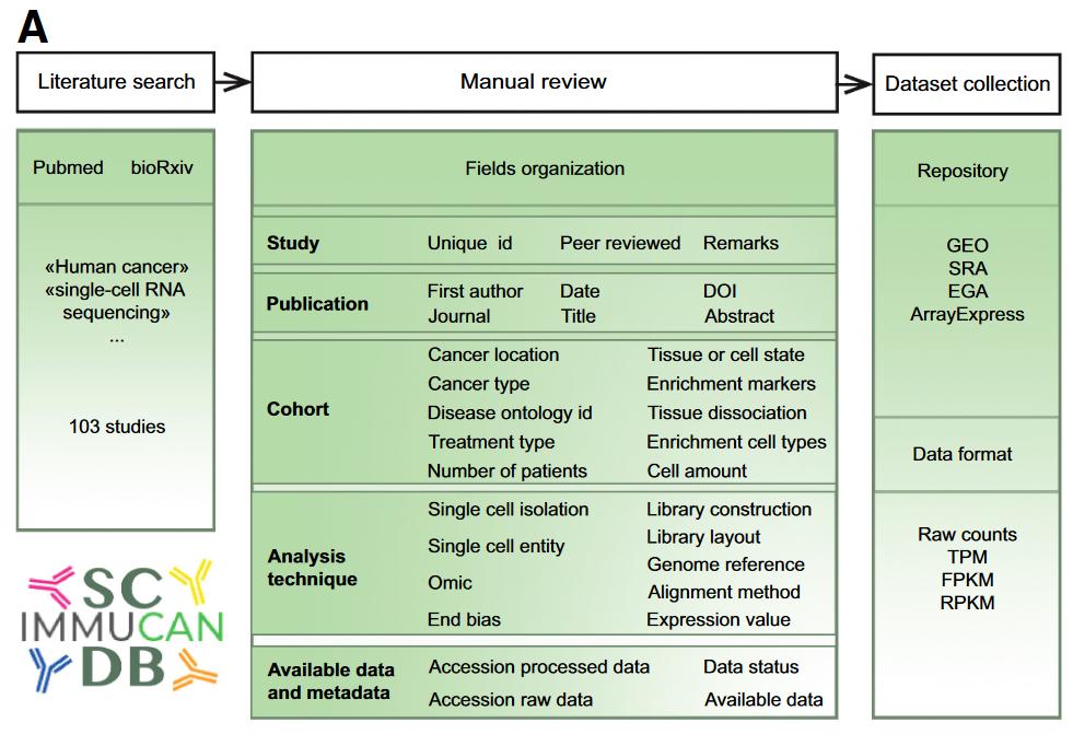 IMMUcan—a tumor microenvironment single-cell database - iMedia