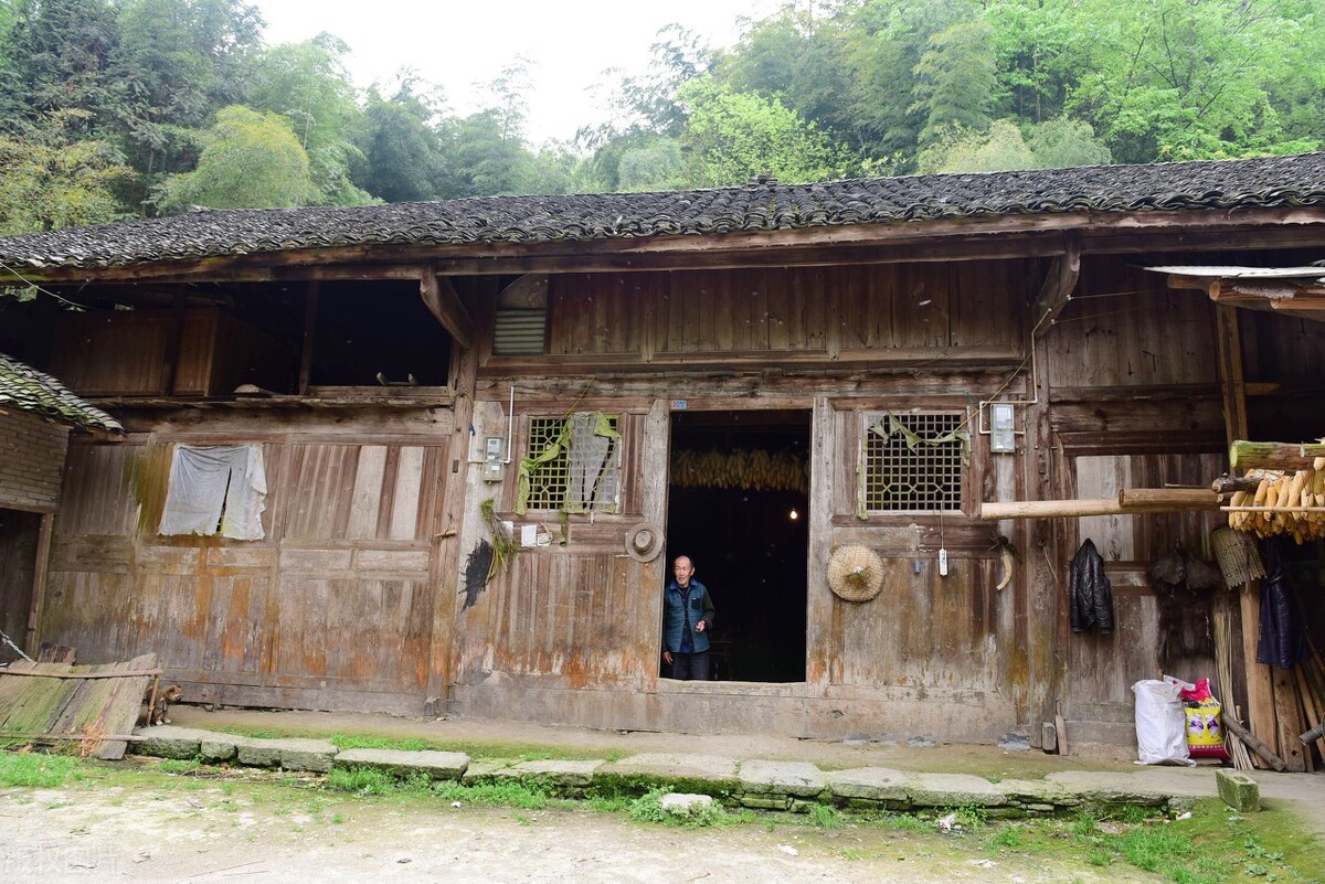 As the saying goes, "The descendants of the Tang family are prosperous ...