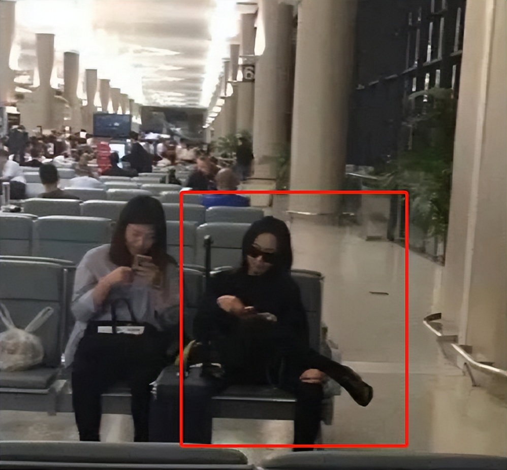 Liu Dachui's line of words showed Yang Yang's nature vividly, and Song Qian raised her legs ...