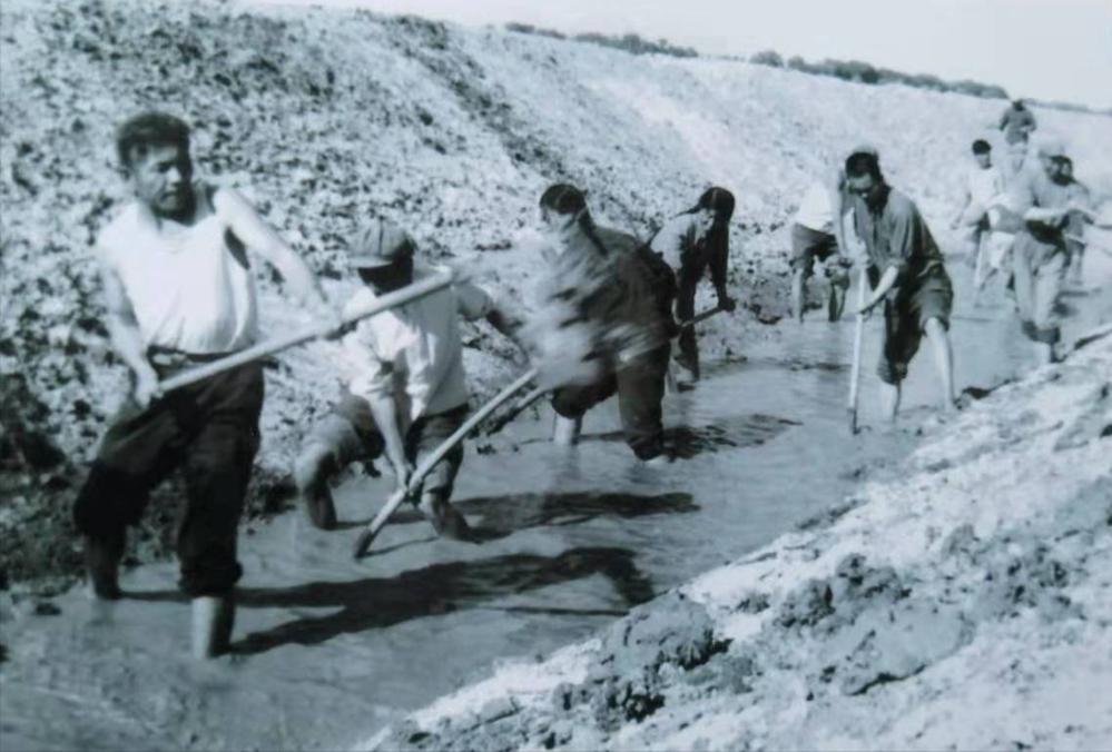 History of Digging Fish Ponds at Gehushi Farm - iMedia