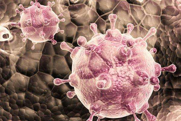 The top ten most powerful viruses in the world, AIDS can only rank ...