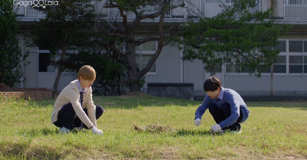 This year's most hip-stretching sun rot, there is no one, the sun rot ...